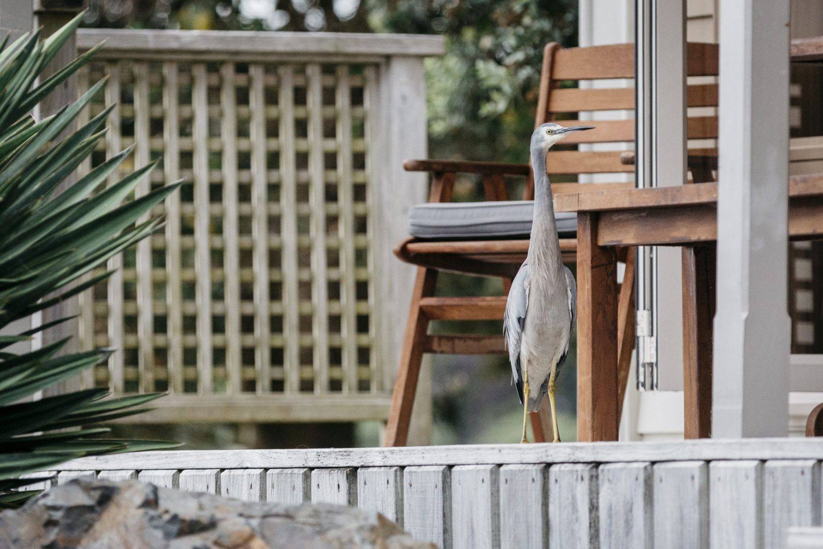 Accommodation | Pākiri Beach Holiday Park